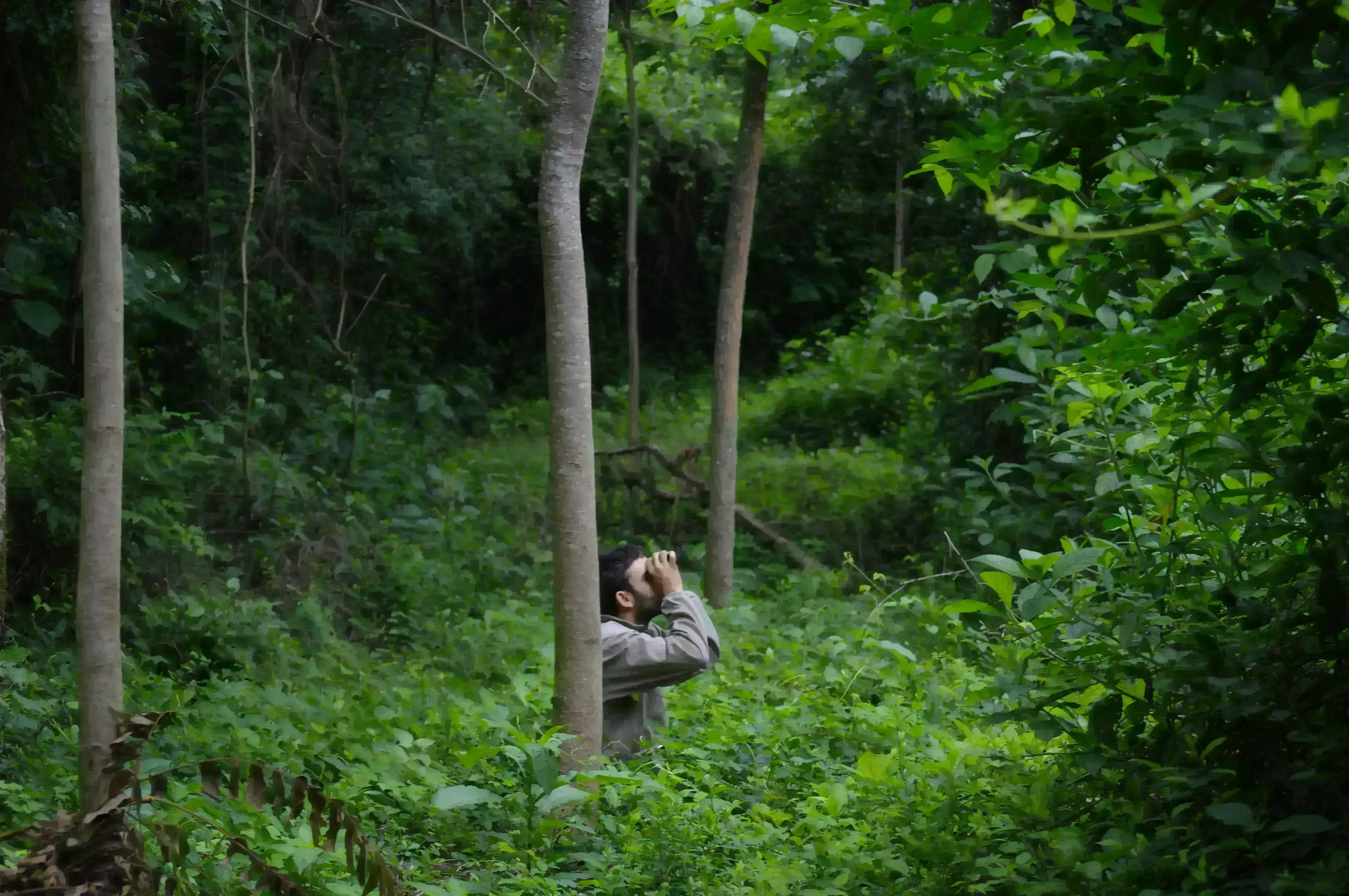 ClimateTrade: Bosque Yungas Argentinas