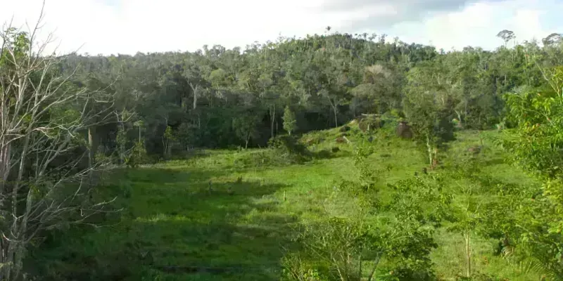 ClimateTrade: FLORESTAL SANTA MARIA PROJECT 2016 & 2014