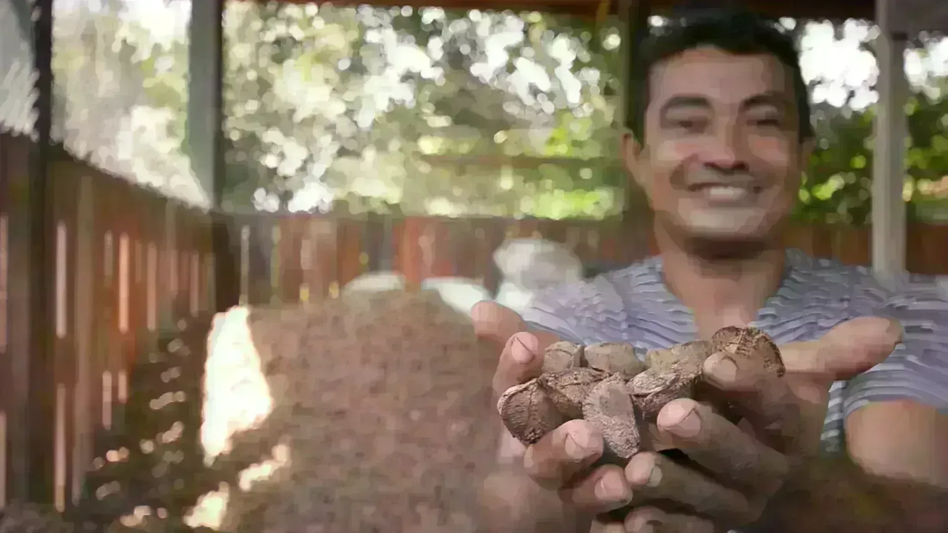 ClimateTrade: Jari Pará REDD+ Project